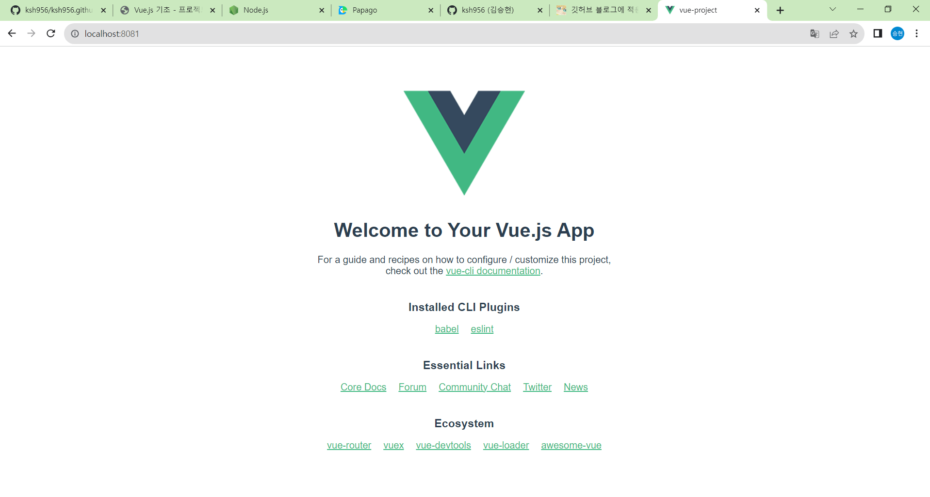 Vuejs 기초 프로젝트 생성 S Hyeon